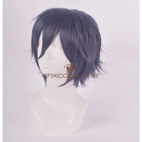 Master Noctis Lucis Caelum Cosplay Wig – Mxcostume