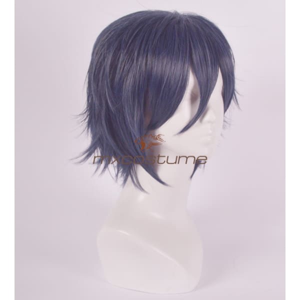Master Noctis Lucis Caelum Cosplay Wig – Mxcostume