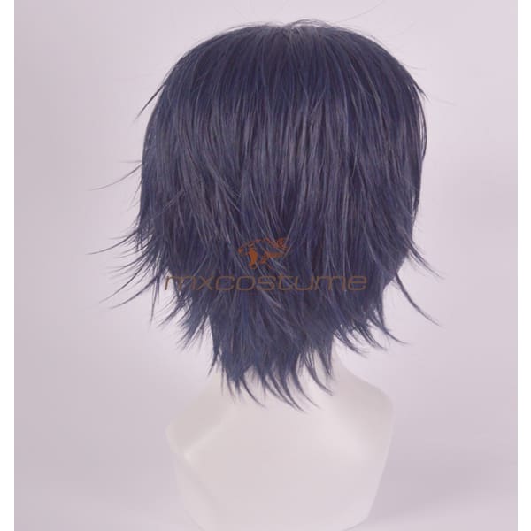 Master Noctis Lucis Caelum Cosplay Wig – Mxcostume